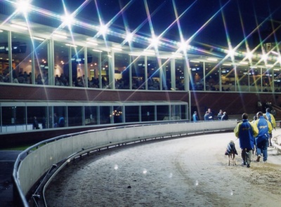 Greyhound Racing Back in Oxford - NewBettingSites.net